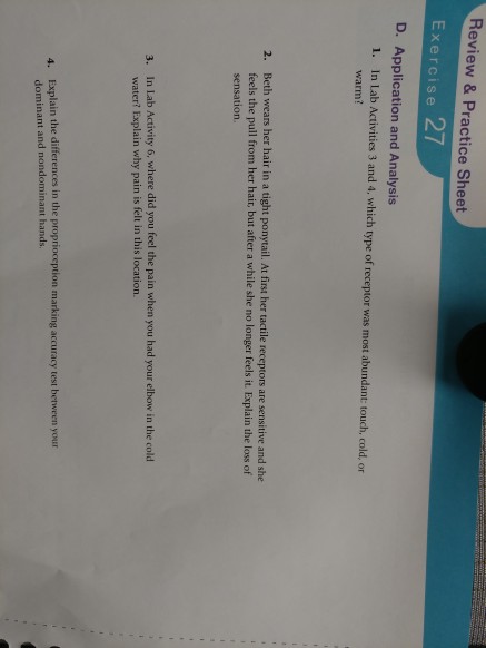 Solved Review & Practice Sheet Exercise D. Application and | Chegg.com