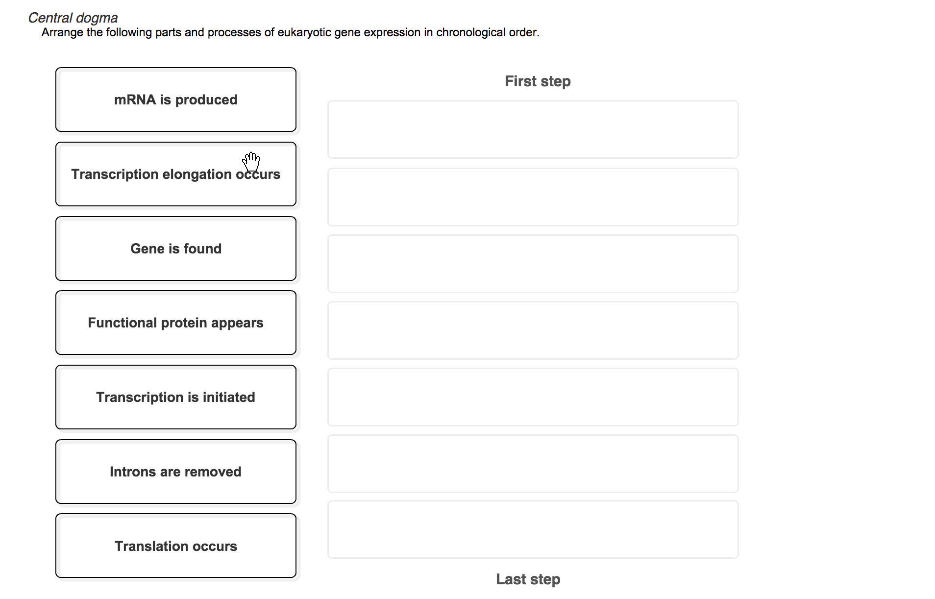 Central dogma Arrange the following parts and | Chegg.com Central dogma Arrange the following parts and | Chegg.com