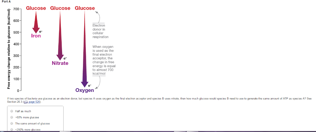 Solved If two species for bacteria use glucose as an | Chegg.com