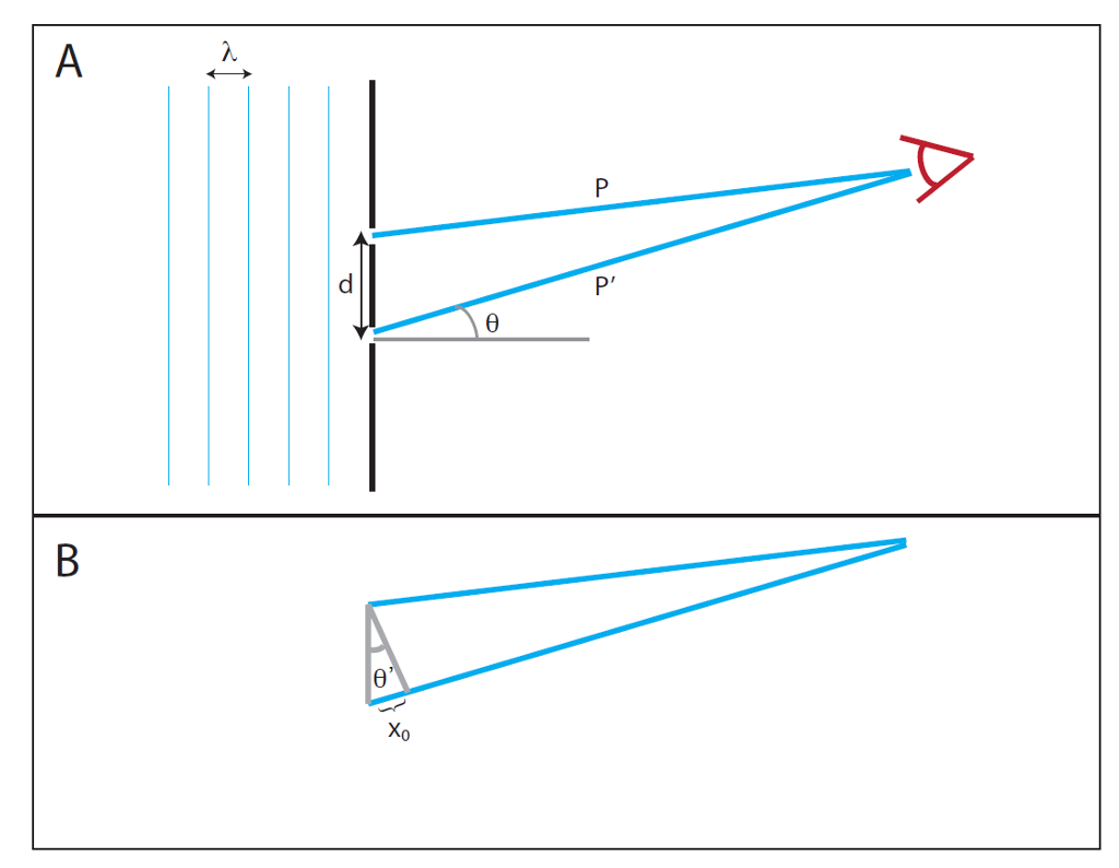 Solved Using the diagram of the double slit experiment below | Chegg.com