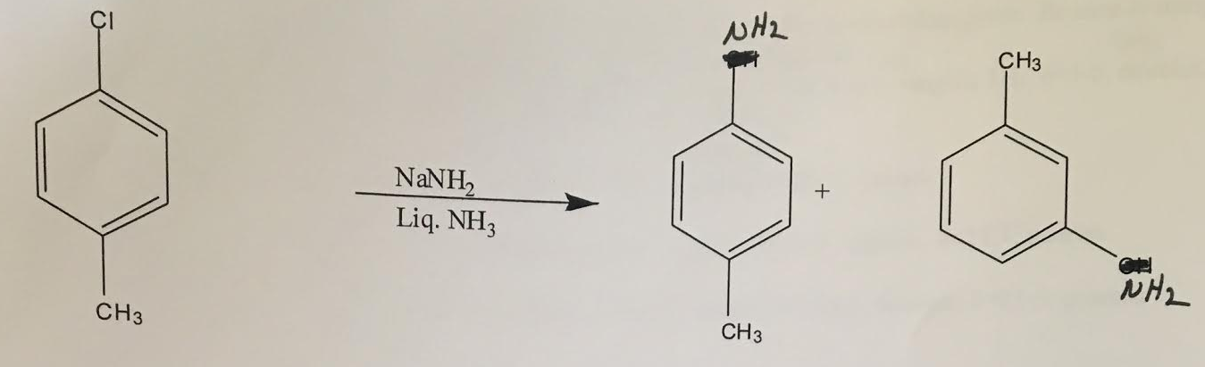 Solved Cl CH3 NaNH Liq. NH3 CH3 CH3 | Chegg.com