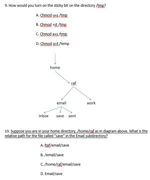 Solved 9. How would you turn on the sticky bit on the | Chegg.com
