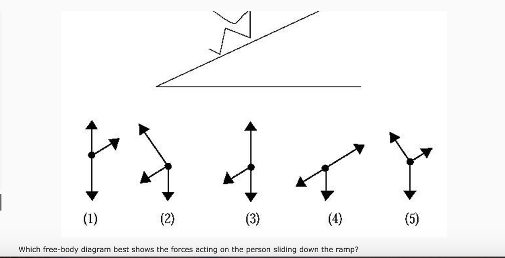 Solved Which free-body diagram best shows the forces acting | Chegg.com