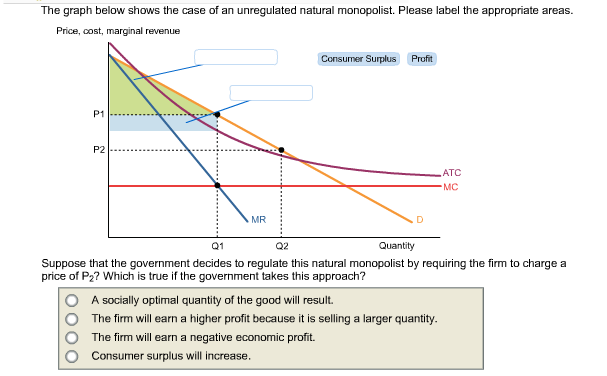 Solved The graph below shows the case of an unregulated | Chegg.com