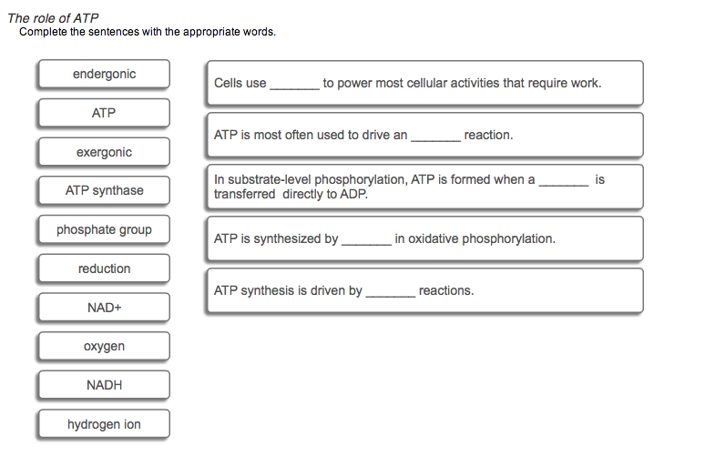 Solved The role of ATP Complete the sentences with the | Chegg.com