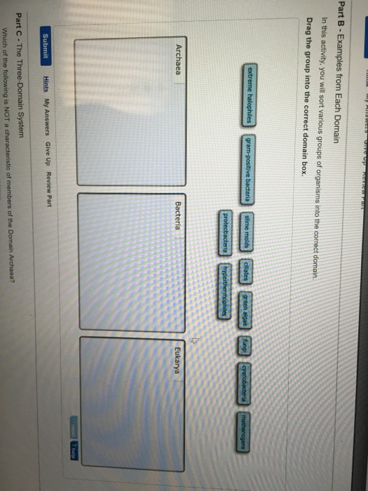 Solved In this activity, you will sort various groups of | Chegg.com