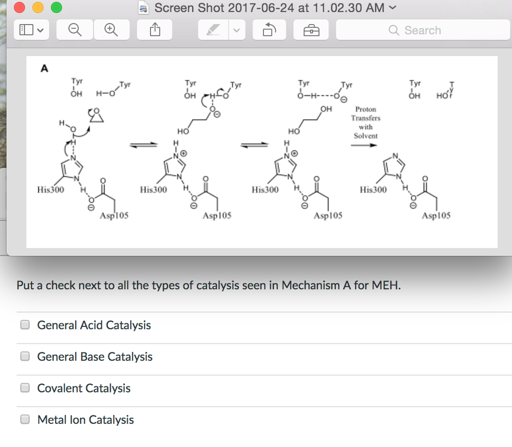 Solved Put a check next to all the types of catalysis seen | Chegg.com