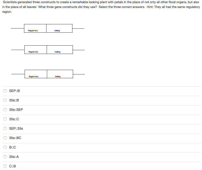 Scientists generated three constructs to create a | Chegg.com