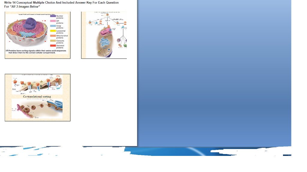 Solved Note: Write 14 Conceptual Multiple Choice And | Chegg.com