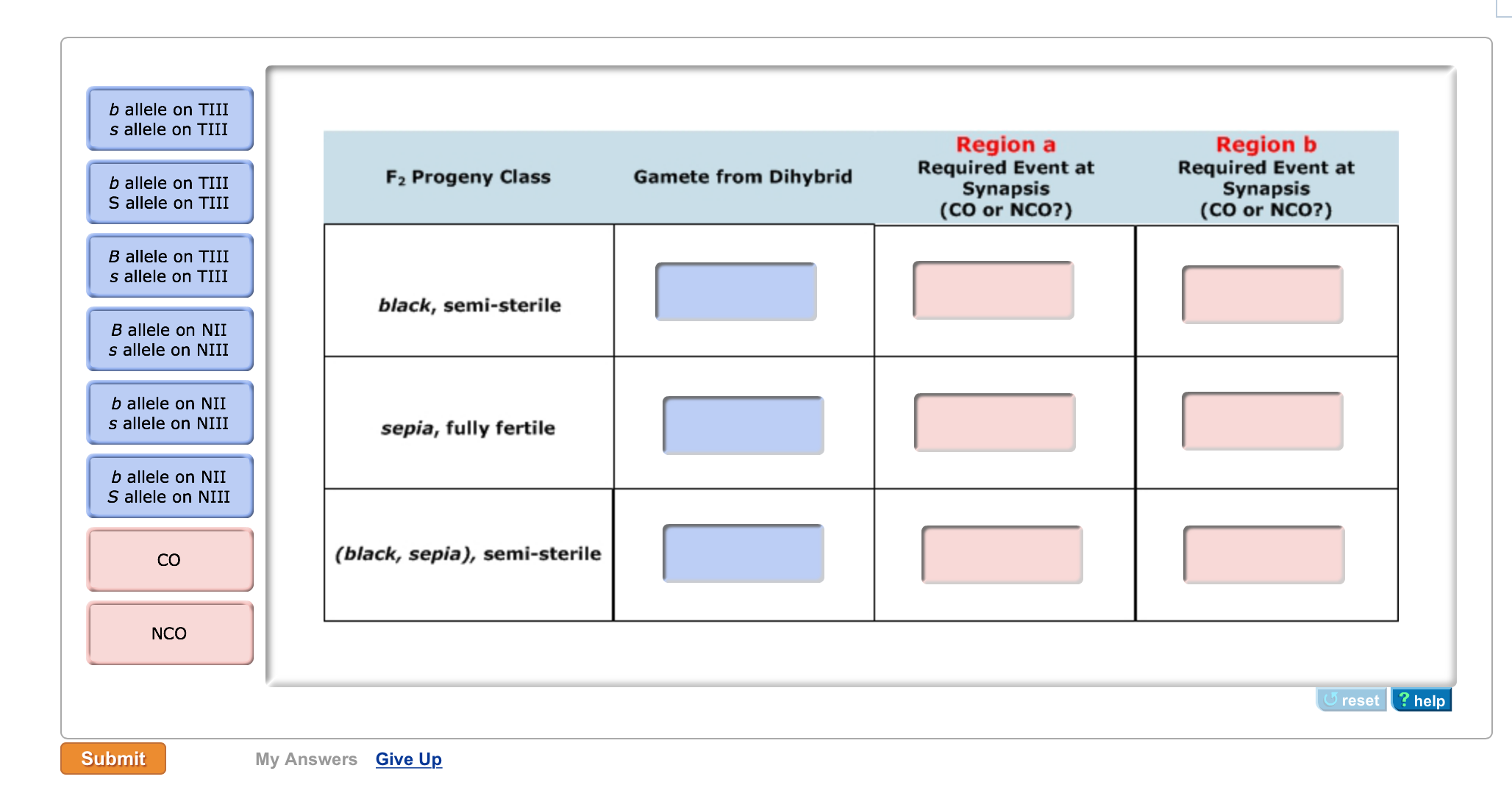 Solved You decide to cross the reciprocal translocation | Chegg.com