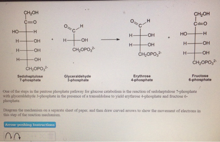 Solved One of the steps in the pentose phosphate pathway for | Chegg.com