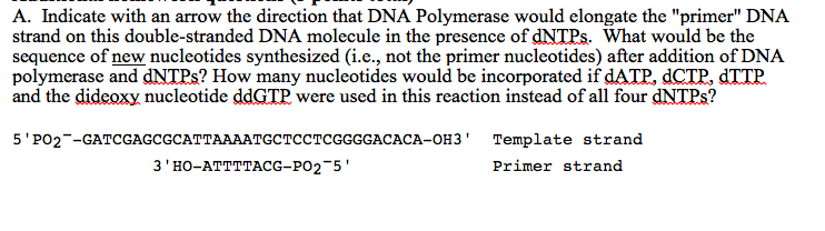 Solved Indicate with an arrow the direction that DNA | Chegg.com