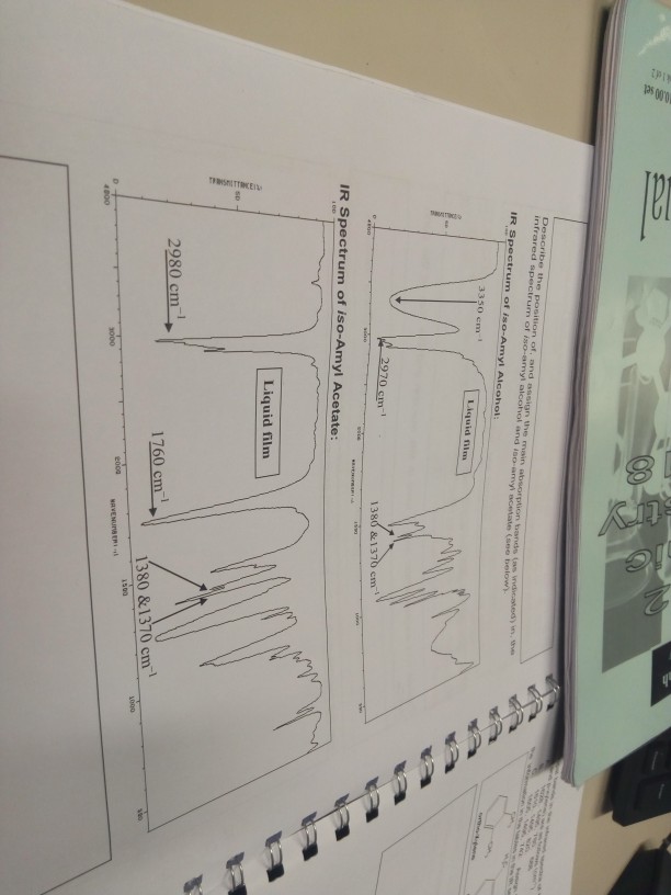 Solved spectrunition or 2970 cm 380 &1370 cm IR Spectrum of | Chegg.com