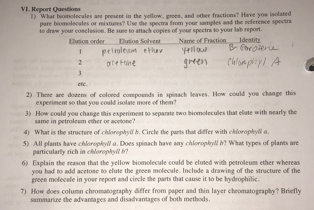 Biomolecules Lab Report Conclusion at Caitlin Gilles blog
