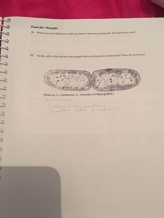 Solved Section Number Exercise 3 Structure And Function Of