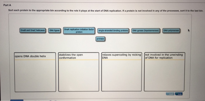 Solved Sort each protein to the appropriate bin according to | Chegg.com