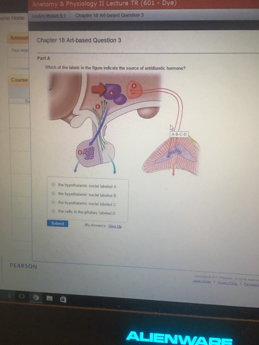 Solved Which of the labels in the figure indicate the source | Chegg.com