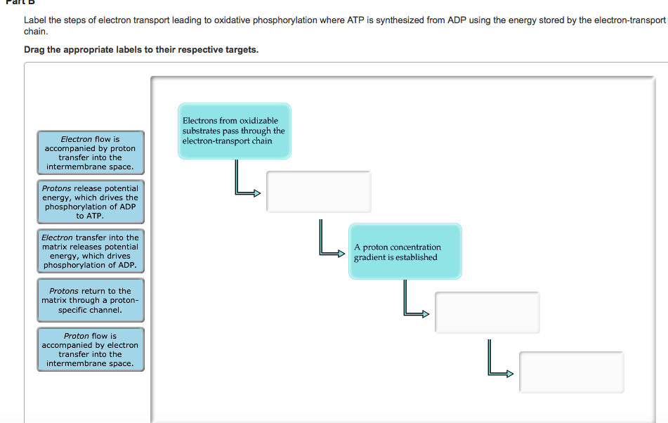 Solved In the diagram below, the red arrows show the flow of | Chegg.com