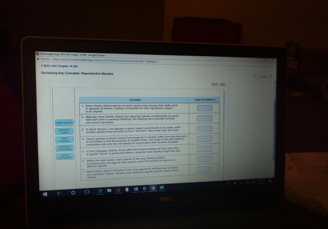 Reviewing Key Concepts: Reproductive Barriers | Chegg.com
