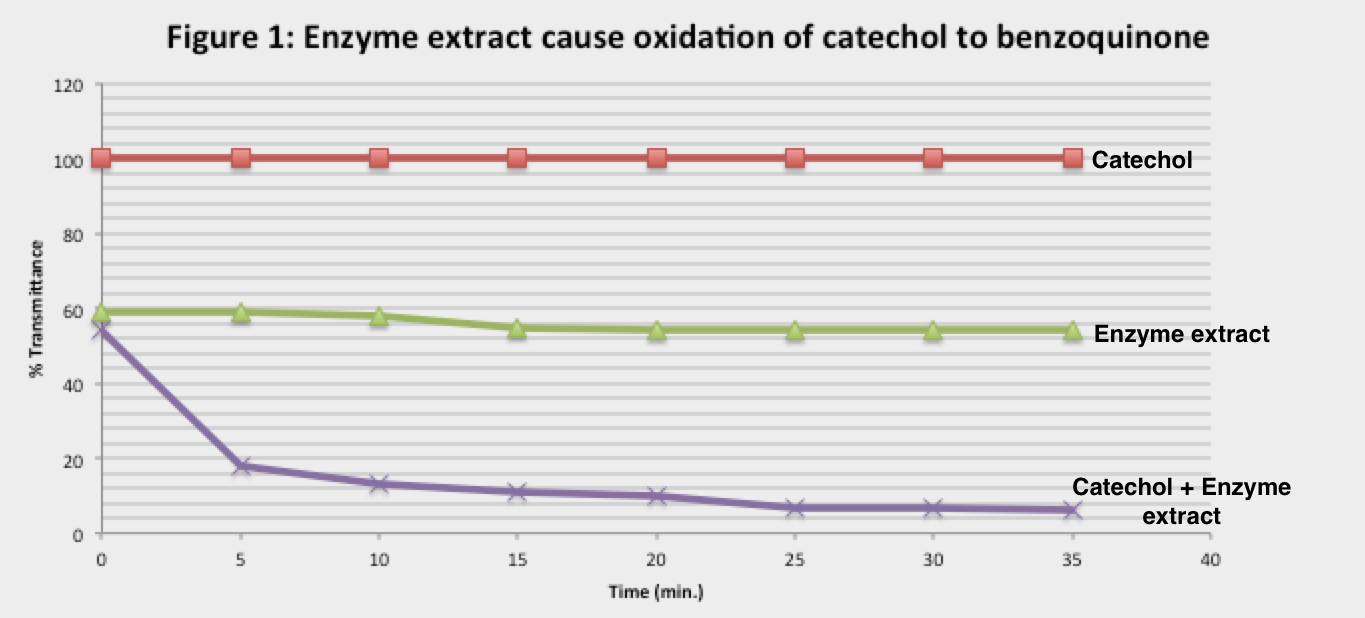 Solved Tube A: 2 mL catechol-buffer solution (This will be | Chegg.com