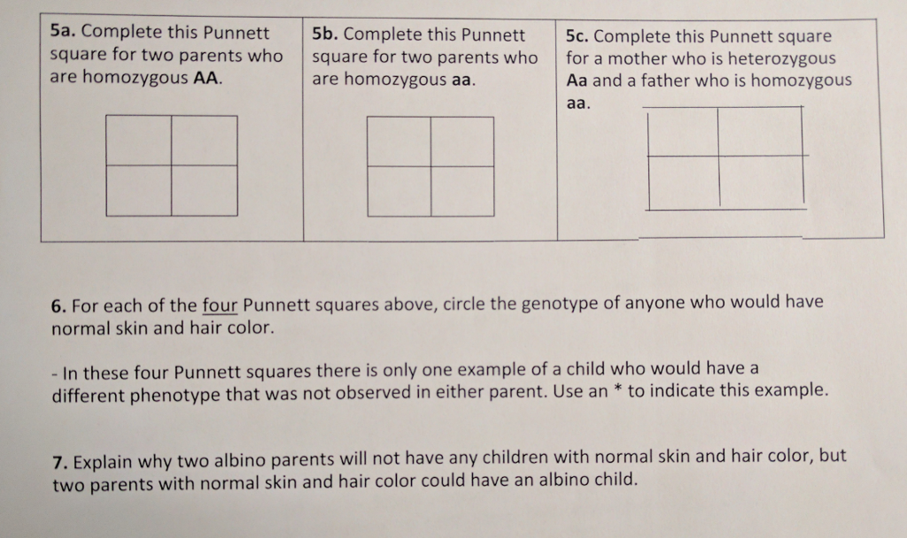 Solved For each of the four Punnett squares above, circle | Chegg.com