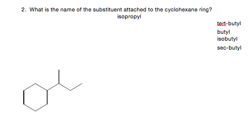 Solved What is the name of the substituent attached to the | Chegg.com
