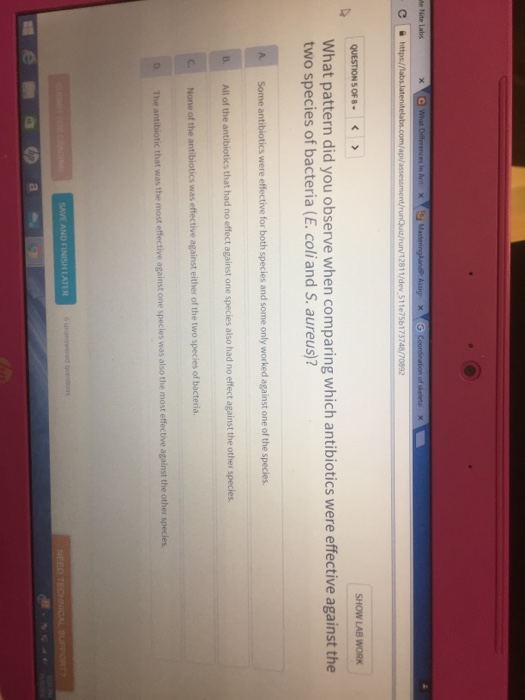 Solved What pattern did you observe when comparing which | Chegg.com