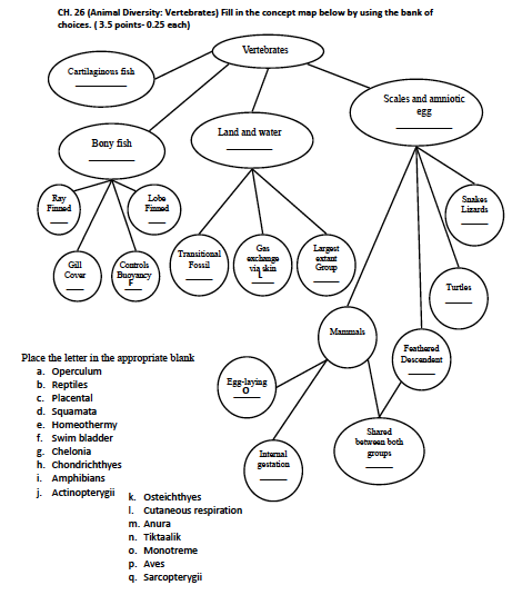 Solved (Animal Diversity: vertebrates) Fill in the concept | Chegg.com