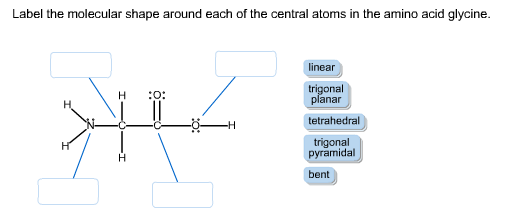 Solved Label the molecular shape around each of the central | Chegg.com