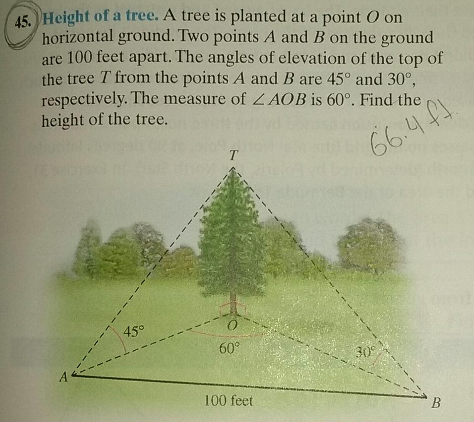 Solved 45. Height of a tree. A tree is planted at a point O | Chegg.com