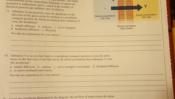 Solved Inside the cell Outside the cell lextracellular | Chegg.com
