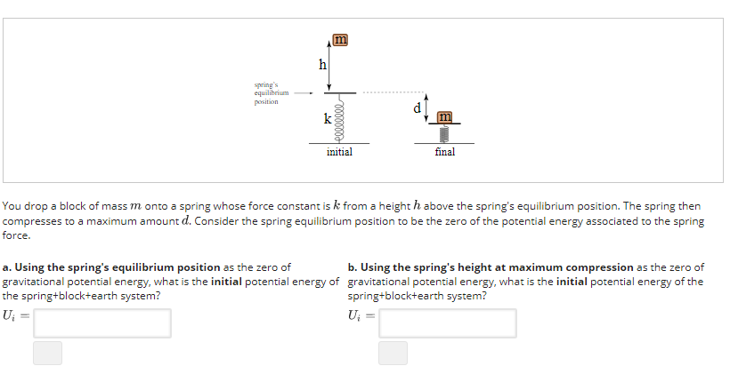 Solved spring's equilihrium position initial final You drop | Chegg.com