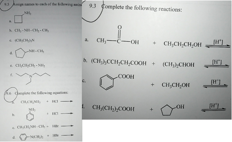Solved Assign names to each of the following amino Complete | Chegg.com