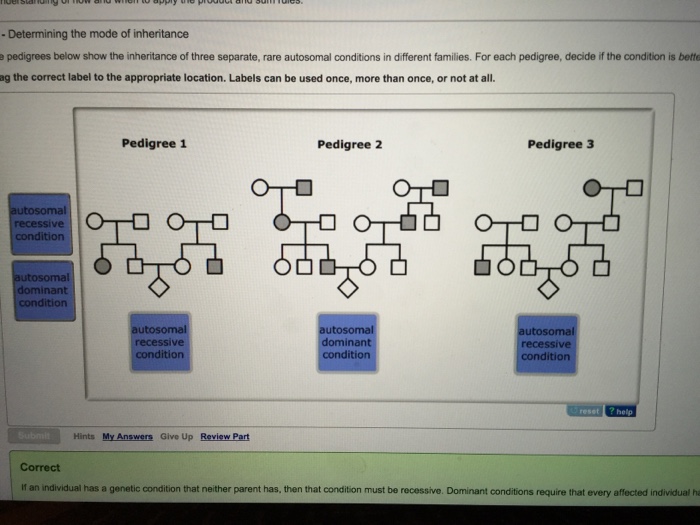 Solved Determining genotypes in autosomal recessive | Chegg.com Solved Determining genotypes in autosomal recessive | Chegg.com