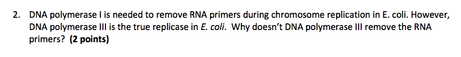 Solved 2. DNA polymerase I is needed to remove RNA primers | Chegg.com