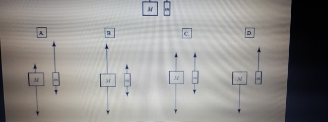 Solved 12) Two unequal masses M and m (M> m) are connected | Chegg.com Solved 12) Two unequal masses M and m (M> m) are connected | Chegg.com
