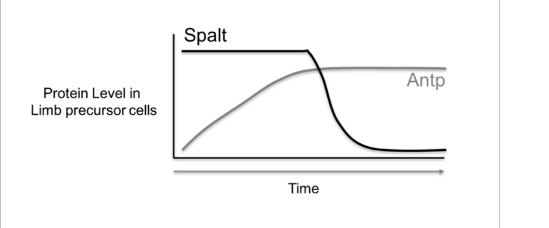 Solved n grasshoppers, loss-of-function mutations in Antp (a | Chegg.com