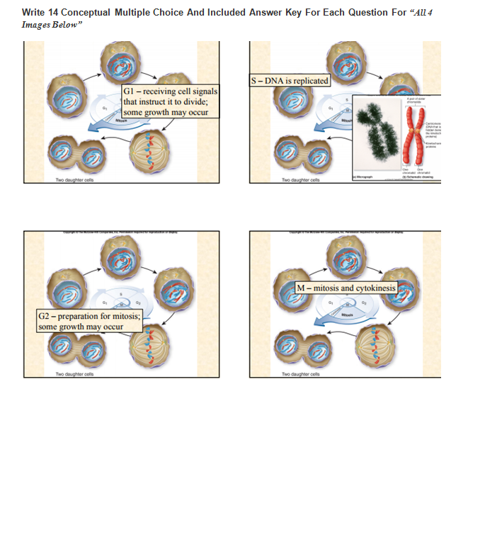 Solved Note: Write 14 Conceptual Multiple Choice And | Chegg.com