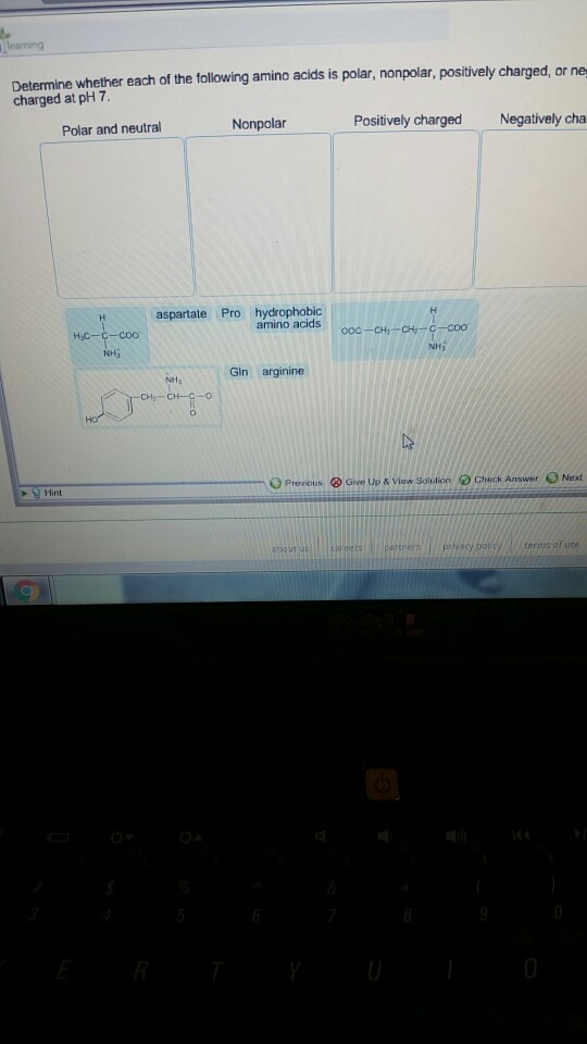 Solved Determine whether each of the following amino acids | Chegg.com
