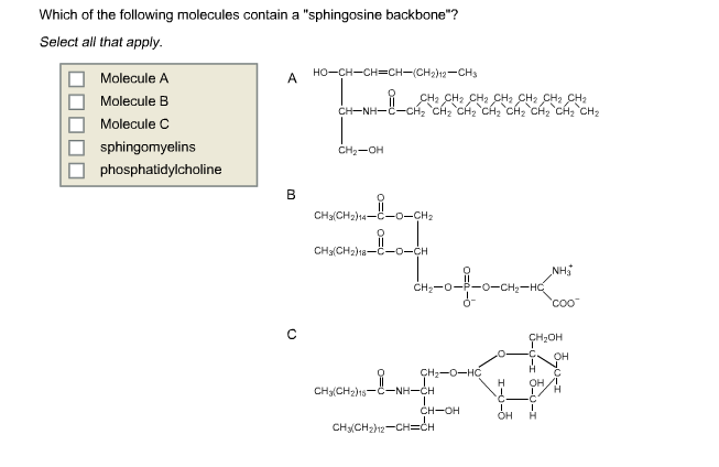 Sphingosine Backbone