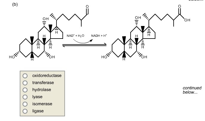 Solved for the enzymatically catalyzed reaction below | Chegg.com