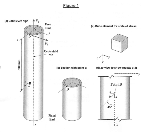 Solved Figure 1 (a) Cantilever pipe t Free End (c) Cube | Chegg.com