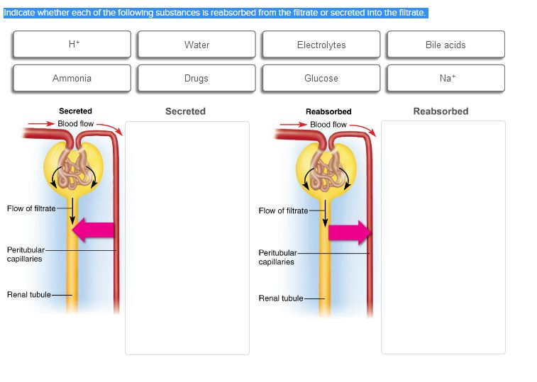 Solved Indicate whether each of the following substances ?is | Chegg.com