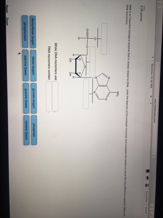 Solved RNA is an important biological polymer that is | Chegg.com