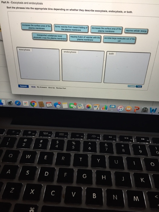 Solved Sort the phrases into the appropriate bins depending | Chegg.com