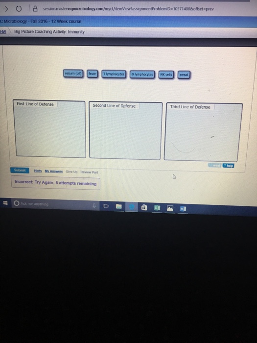 Solved Incorrect Try Again 5 Attempts Remaining