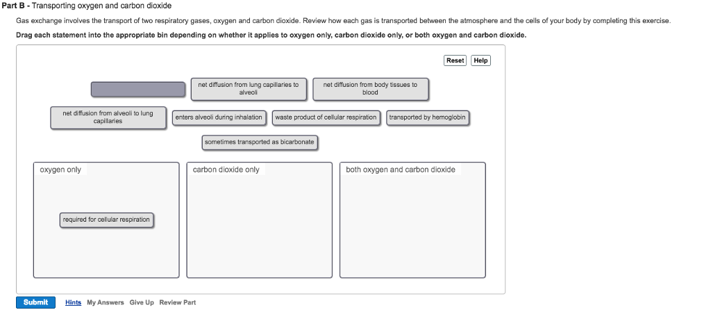 Solved Transporting oxygen and carbon dioxide Gas exchange | Chegg.com