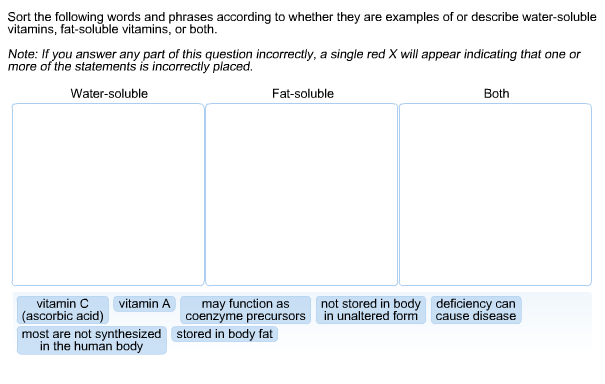 Solved Sort the following words and phrases according to | Chegg.com