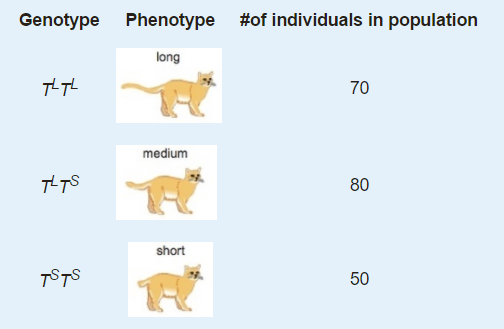 Solved The Hardy-Weinberg principle states that, if a | Chegg.com