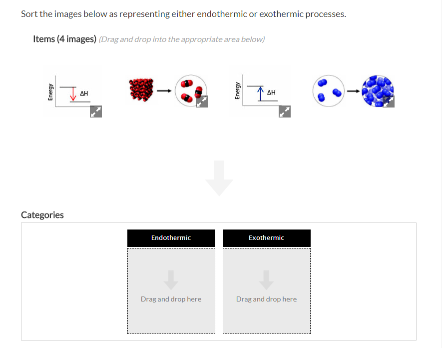 Solved Sort the images below as representing either | Chegg.com